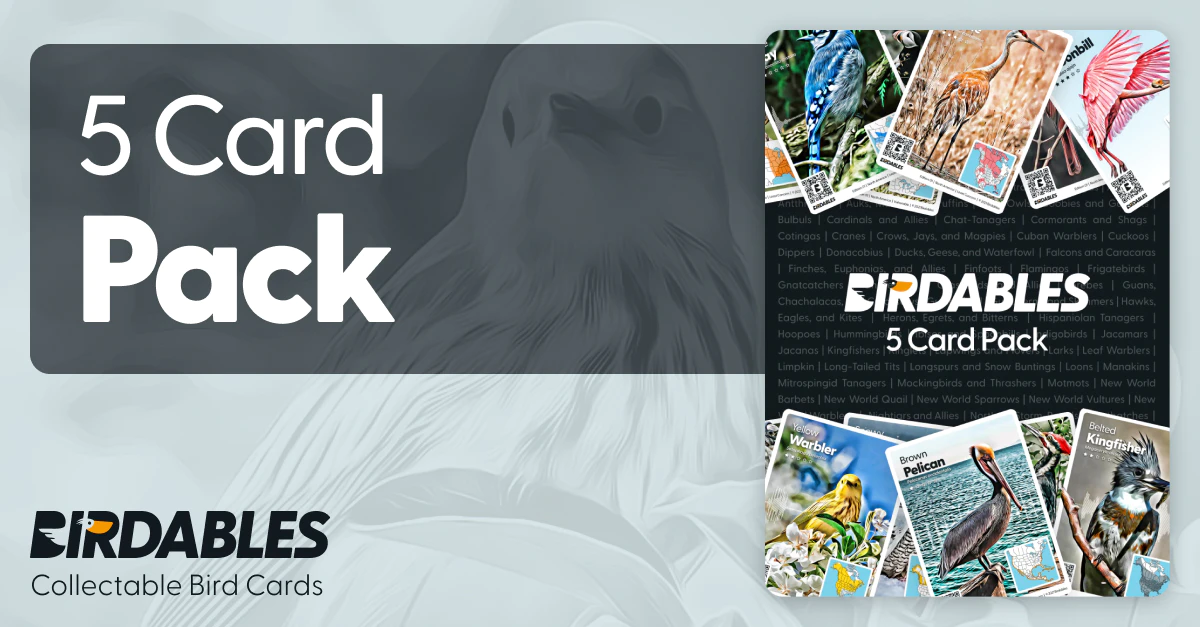 5 Card Pack | Birdables